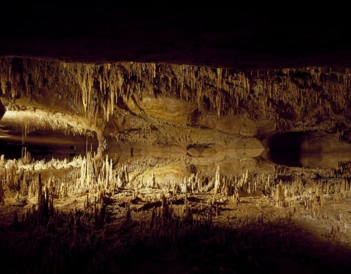 Differences between stalactites and stalagmites: what are they and how ...